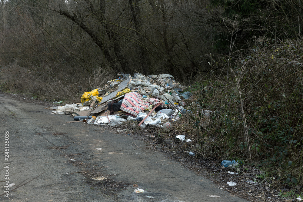 Garbage in forest. People illegally throw garbage into forest. Concept ...