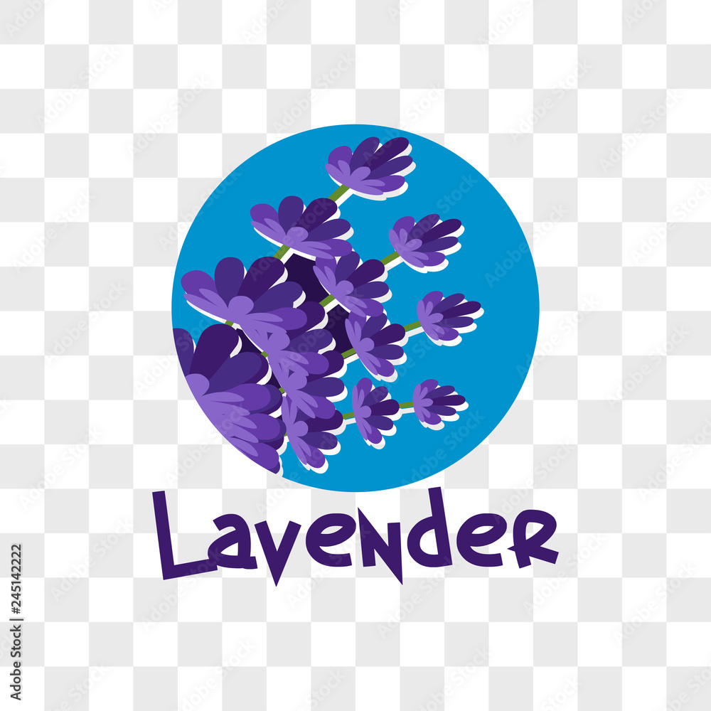 lavender flower on transparent background. vector illustration Stock ...