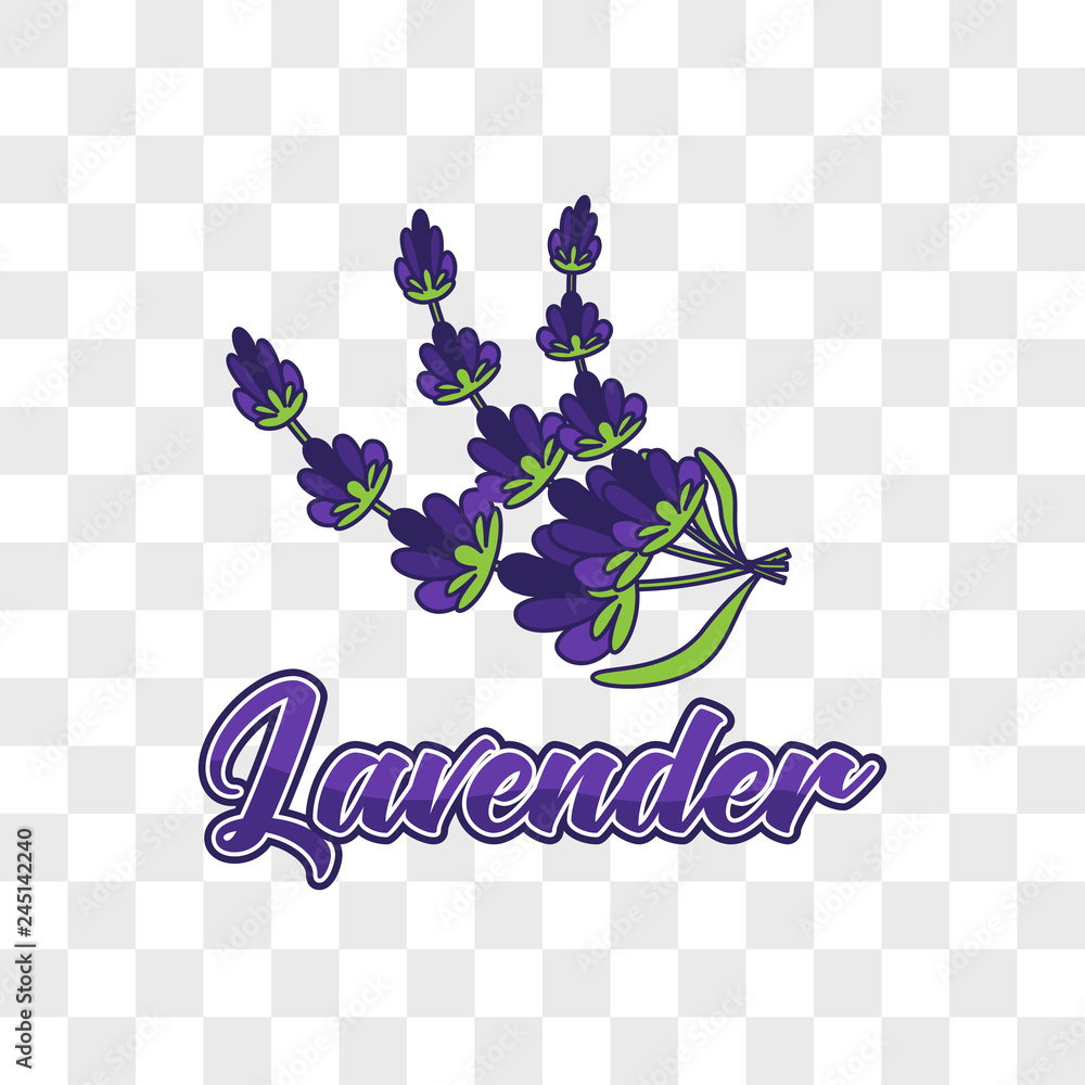lavender flower on transparent background. vector illustration Stock ...