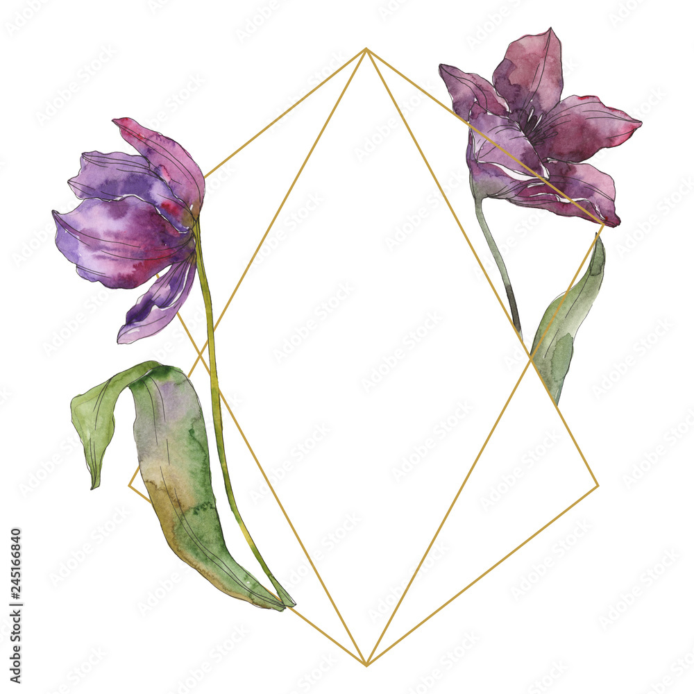 Purple tulip floral botanical flowers. Watercolor background ...