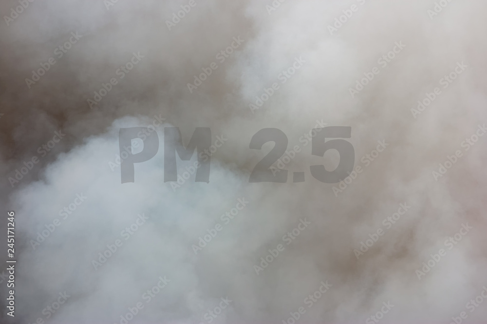 Danger of PM2.5 dust poisoning,The inhalation of PM by people ...