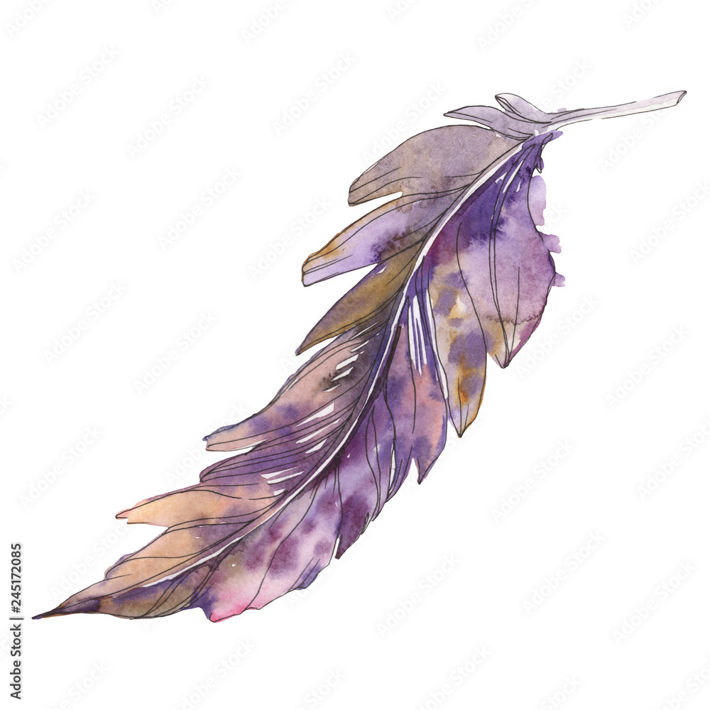 Bird feather from wing isolated. Watercolor background illustration set ...