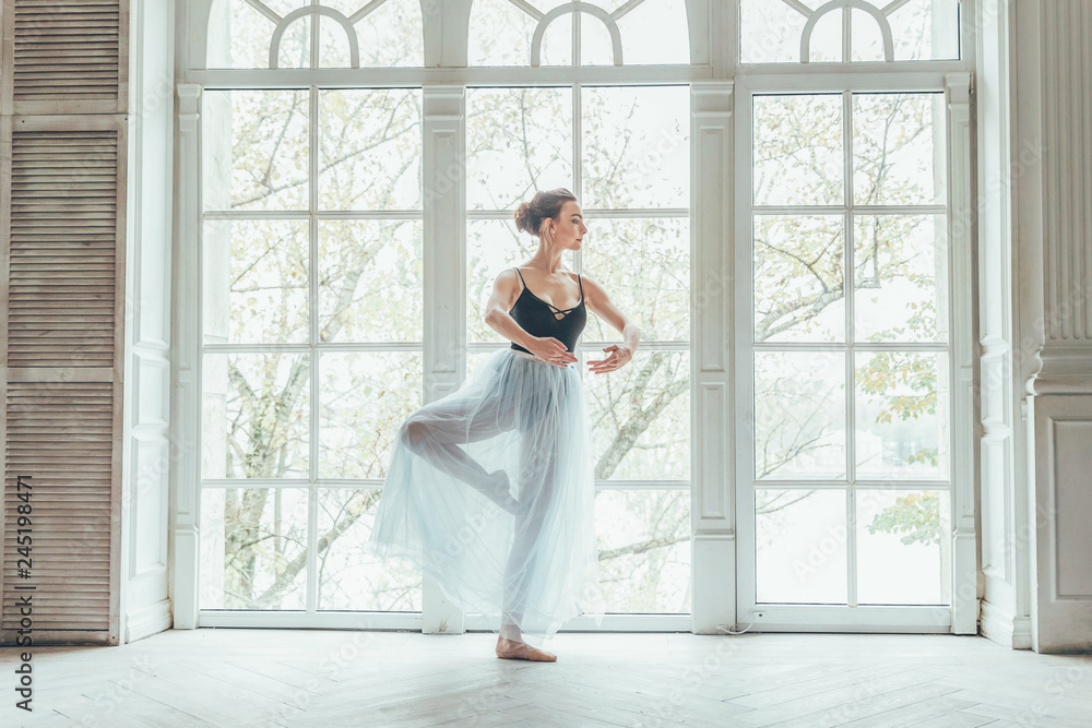 Young classical ballet dancer woman in dance class. Beautiful graceful ballerina practice ballet ...