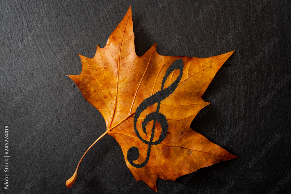Foto de Autumn leaves, fall foliage and music sounds in nature concept ...