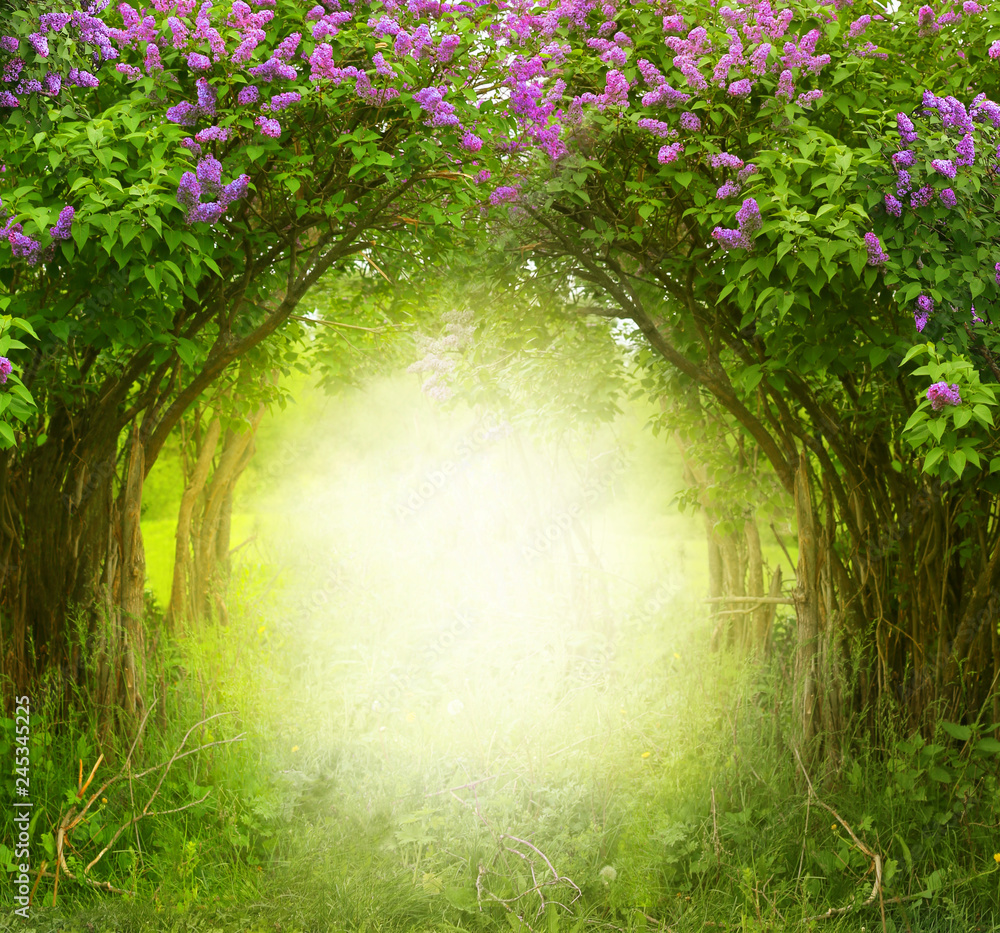 Fantasy background . Magic forest.Beautiful spring landscape.Lilac ...