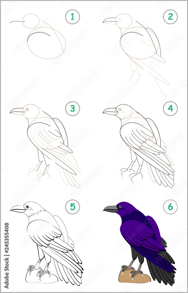 Matchless Tips About How To Draw A Raven Step By - Possibleanimal
