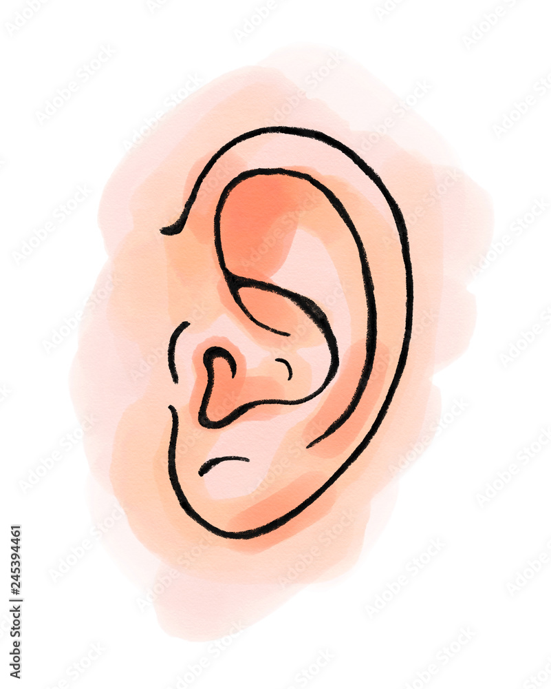 Hand drawn illustration of human ear, watercolors, isolated on white ...