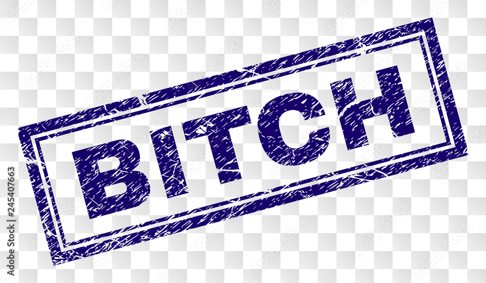 BITCH Stamp Seal Print With Grunge Style And Double Framed Rectangle BITCH Stamp Seal Print With Grunge Style And Double Framed Rectangle