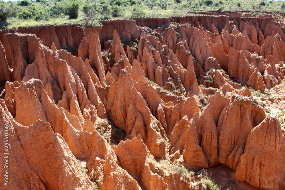 Soil erosion caused by overgrazing or intensive agriculture. Stock ...