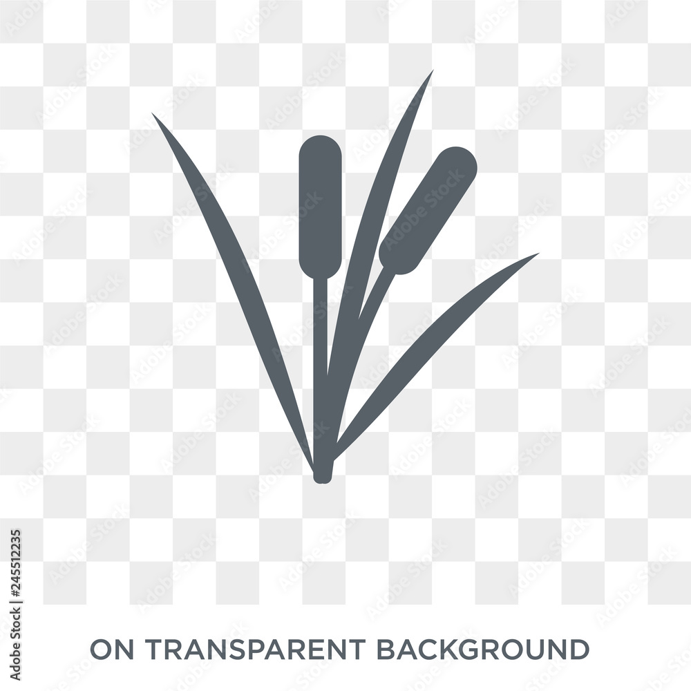 Reed icon. Trendy flat vector Reed icon on transparent background from ...