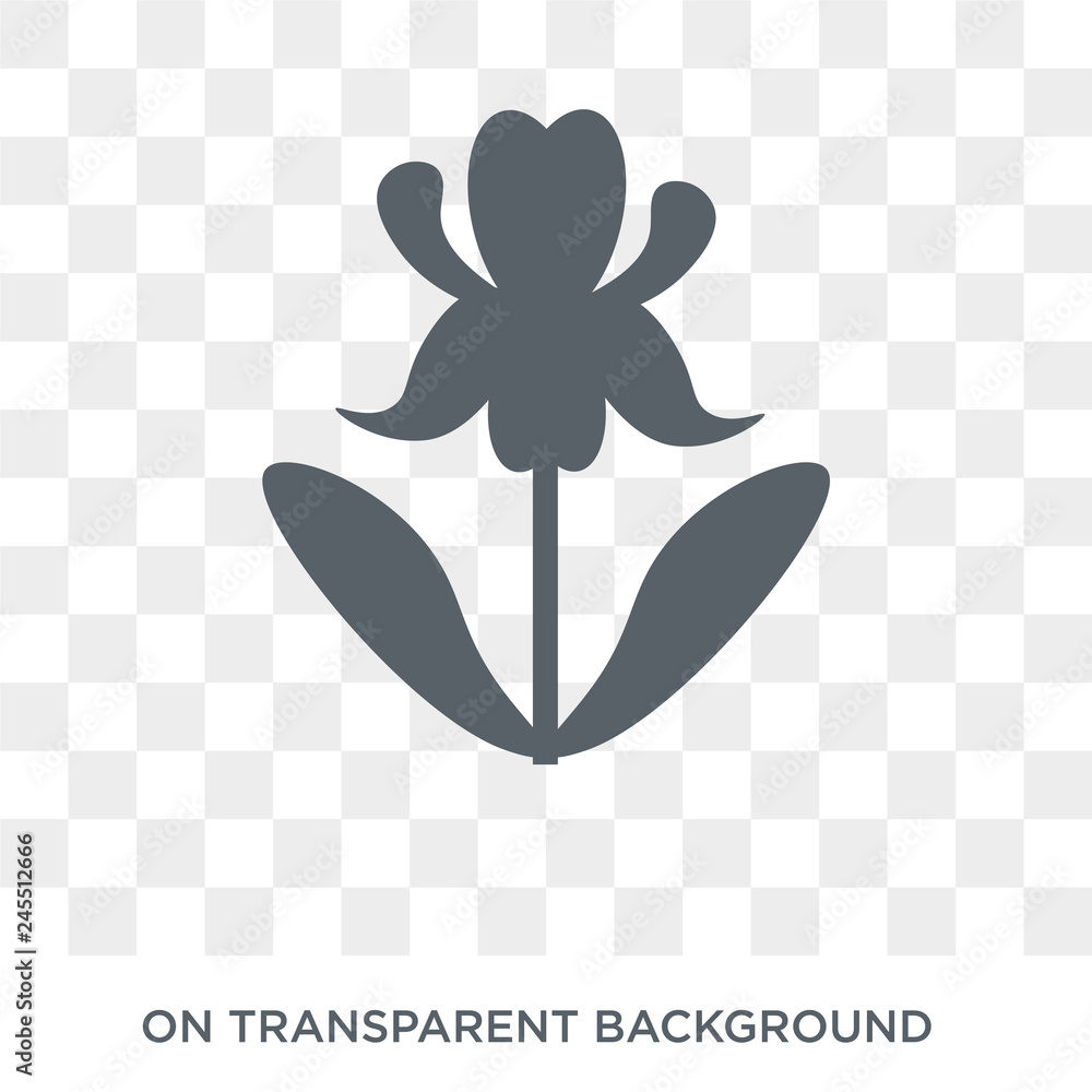 Iris icon. Trendy flat vector Iris icon on transparent background from ...