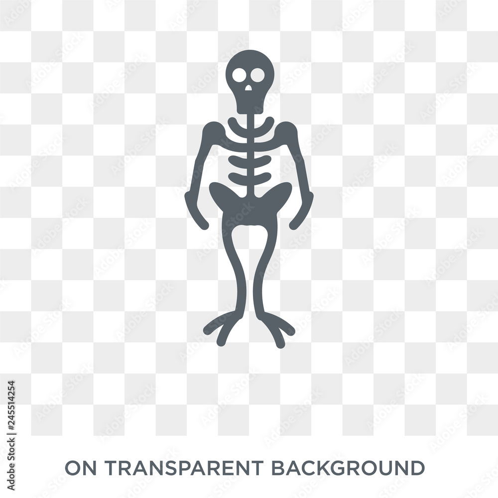 Skeleton icon. Skeleton design concept from collection. Simple element ...