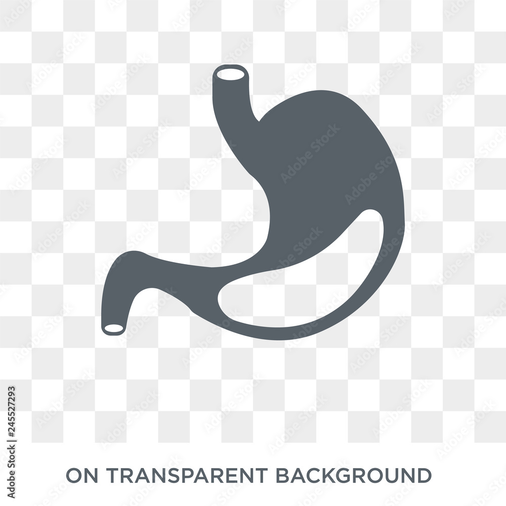 Stomach with Liquids icon. Trendy flat vector Stomach with Liquids icon ...