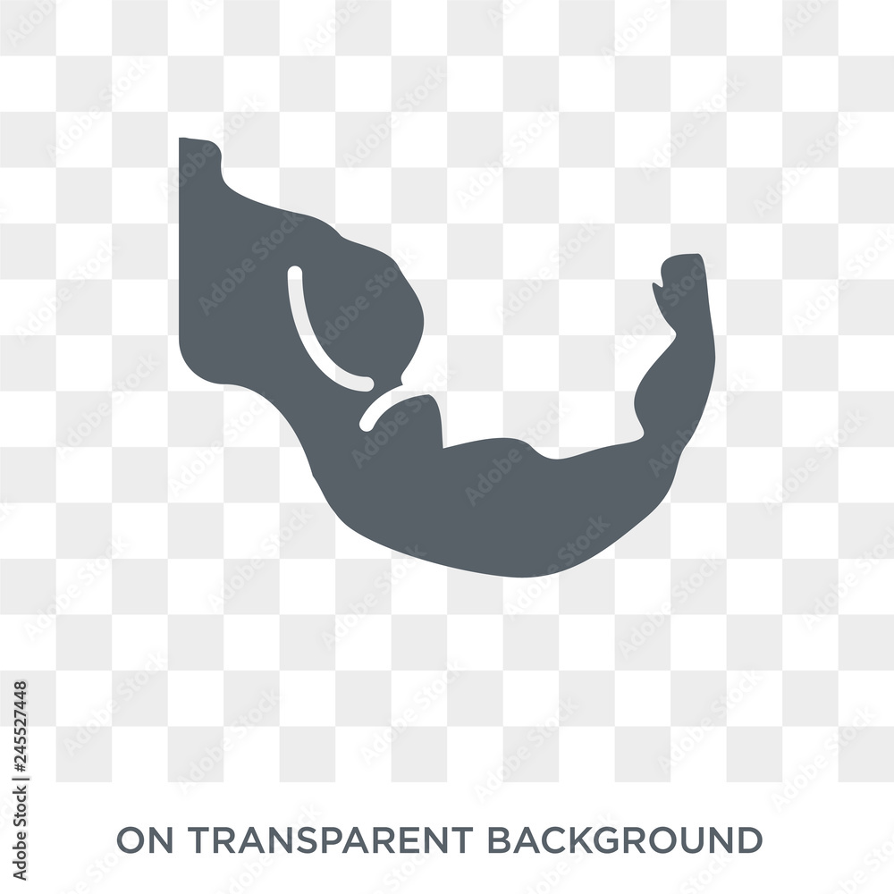 Muscular arm icon. Trendy flat vector Muscular arm icon on transparent ...