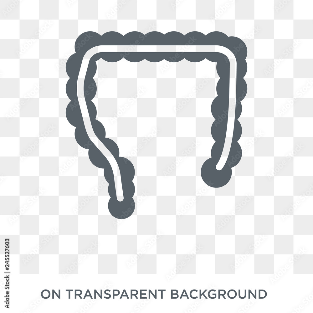 Large Intestine icon. Trendy flat vector Large Intestine icon on ...