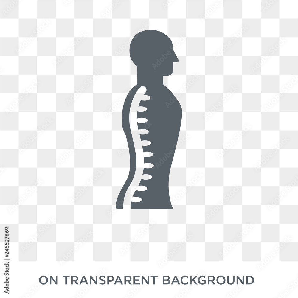 Human Spine icon. Trendy flat vector Human Spine icon on transparent ...