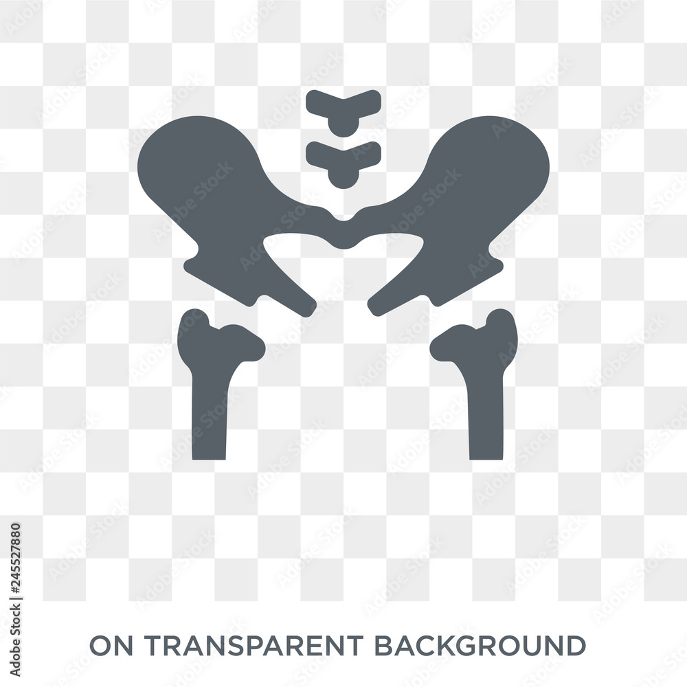 Hip Bone icon. Trendy flat vector Hip Bone icon on transparent ...