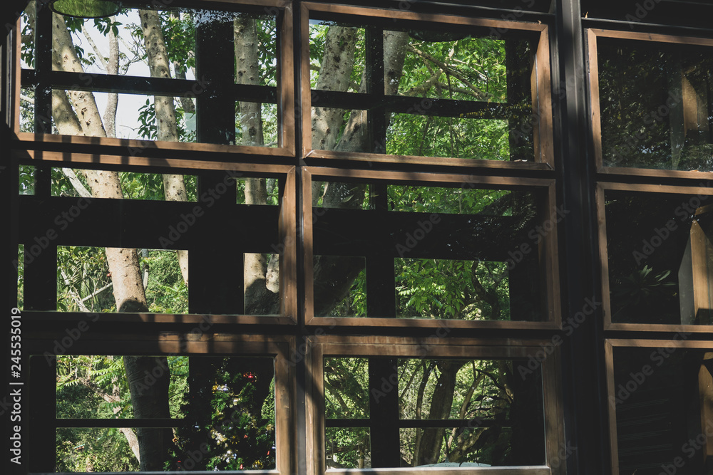 Glass Reflection Trees