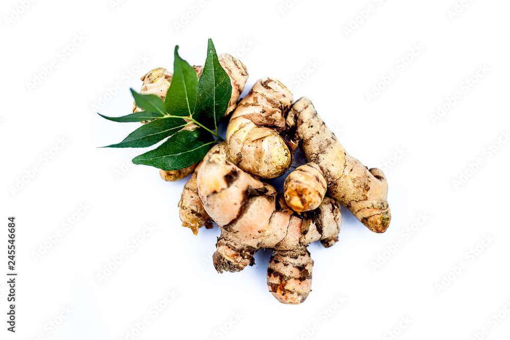 Different Types of Turmeric - Healthy Poshan