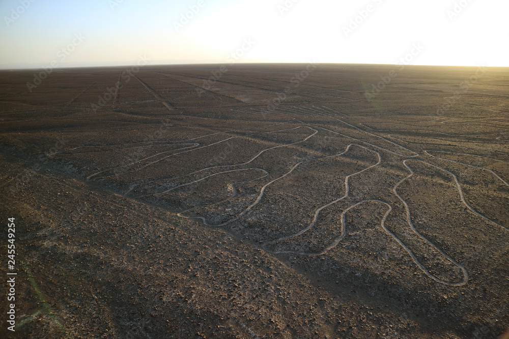 The famous large ancient geoglyphs Nazca lines called Arbol (tree) in ...