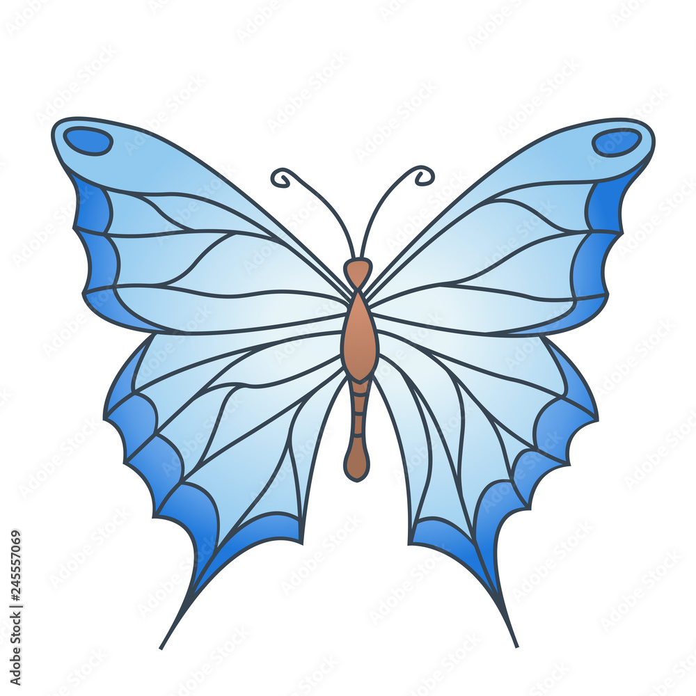 Butterfly Drawings Simple