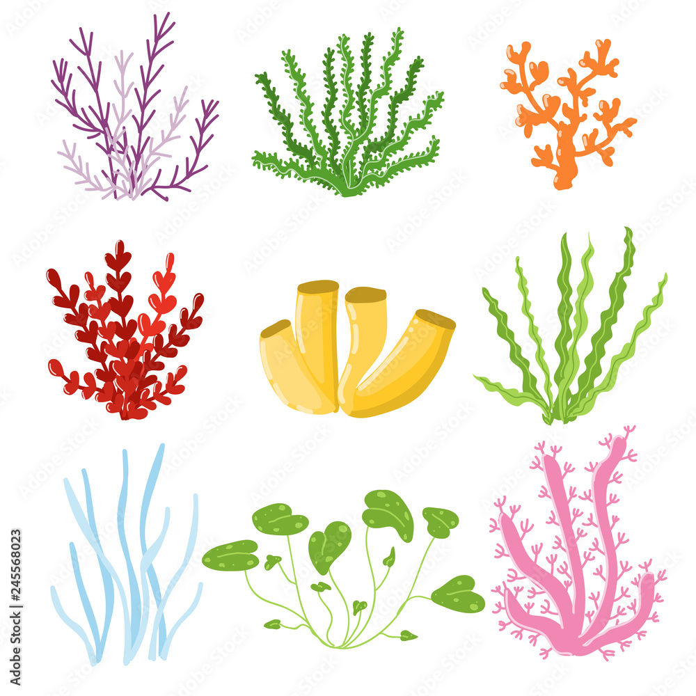 Cartoon Underwater Plants