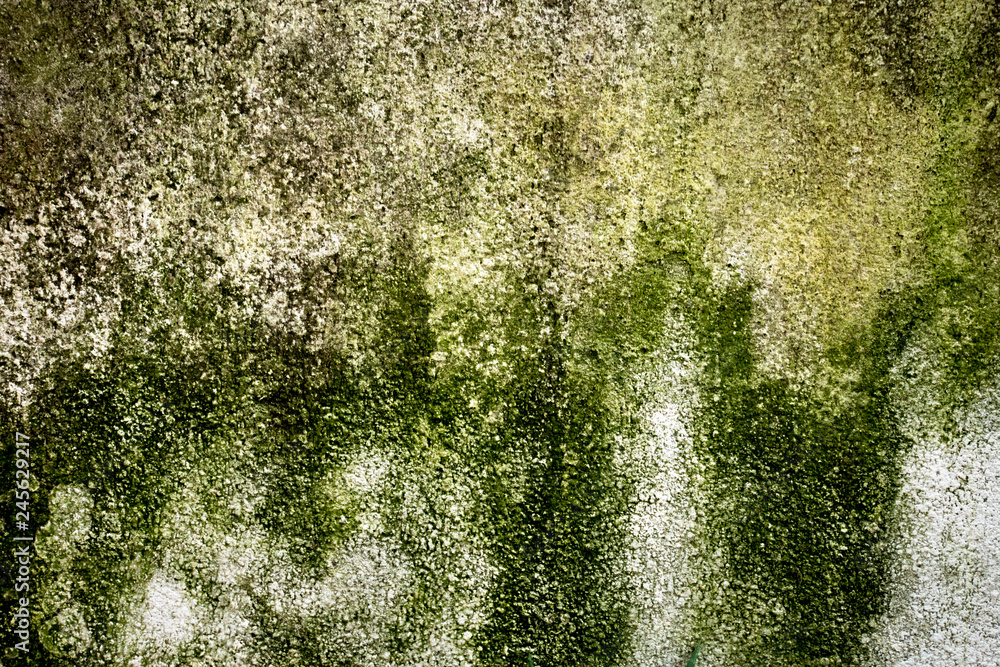 Pared con moho y humedad Stock Photo | Adobe Stock
