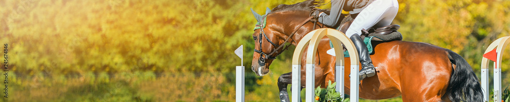Horse horizontal banner for website header design. Rider in uniform ...