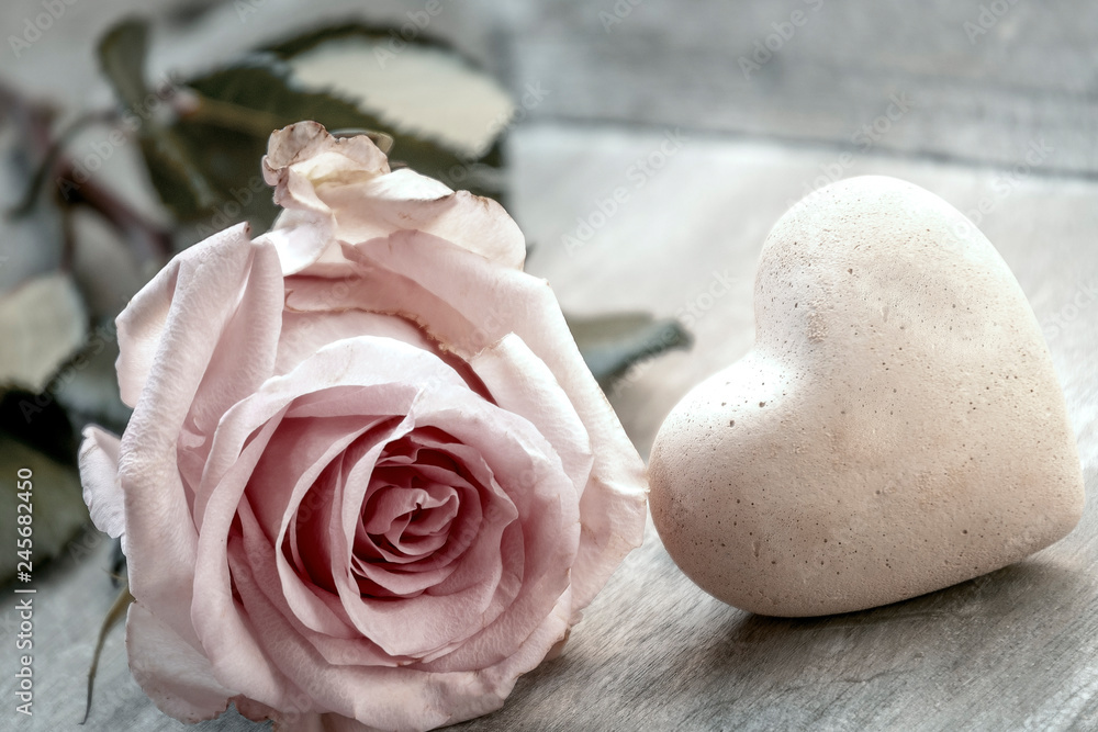 Einzelne Rose mit Herz, romantische Dekoration Stock-Foto | Adobe Stock