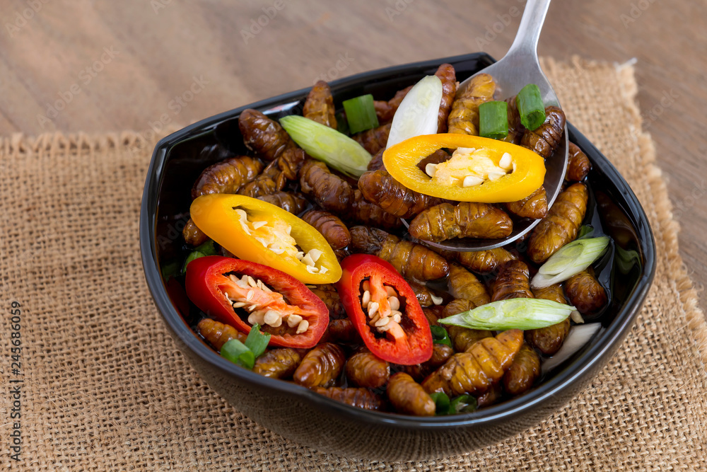 Silkworm Pupae (Bombyx Mori). Food insects for eating as food items ...