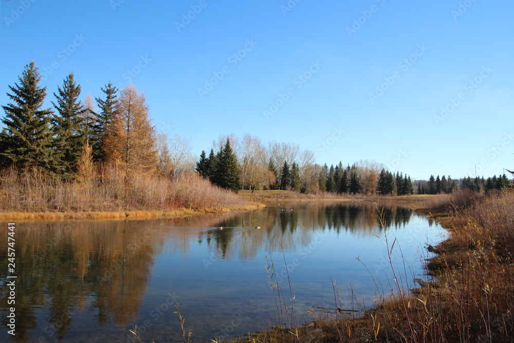 Calm On The Lake, Gold Bar Park, Edmonton, Alberta Stock Photo | Adobe ...