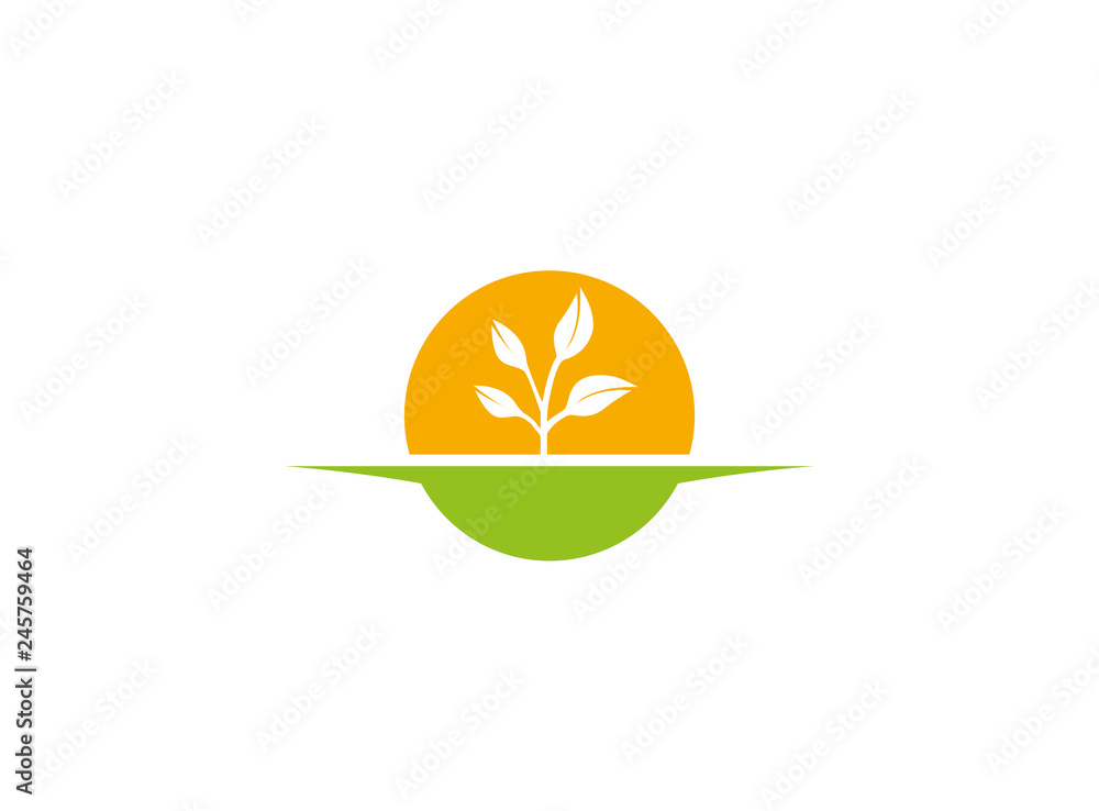 Agricultural soil and plant with big sun for Cultivation of solar ...