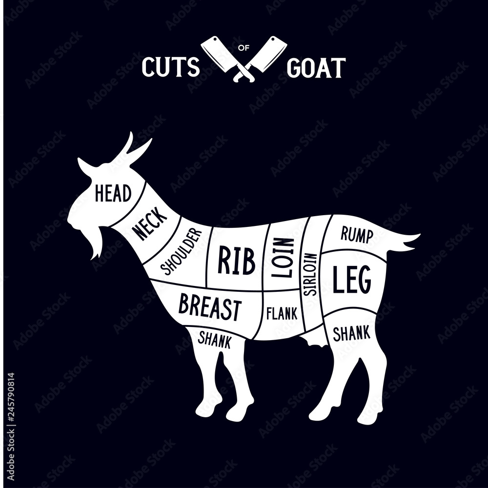 Meat cuts - goat. Diagrams for butcher shop. Scheme of goat. Animal ...