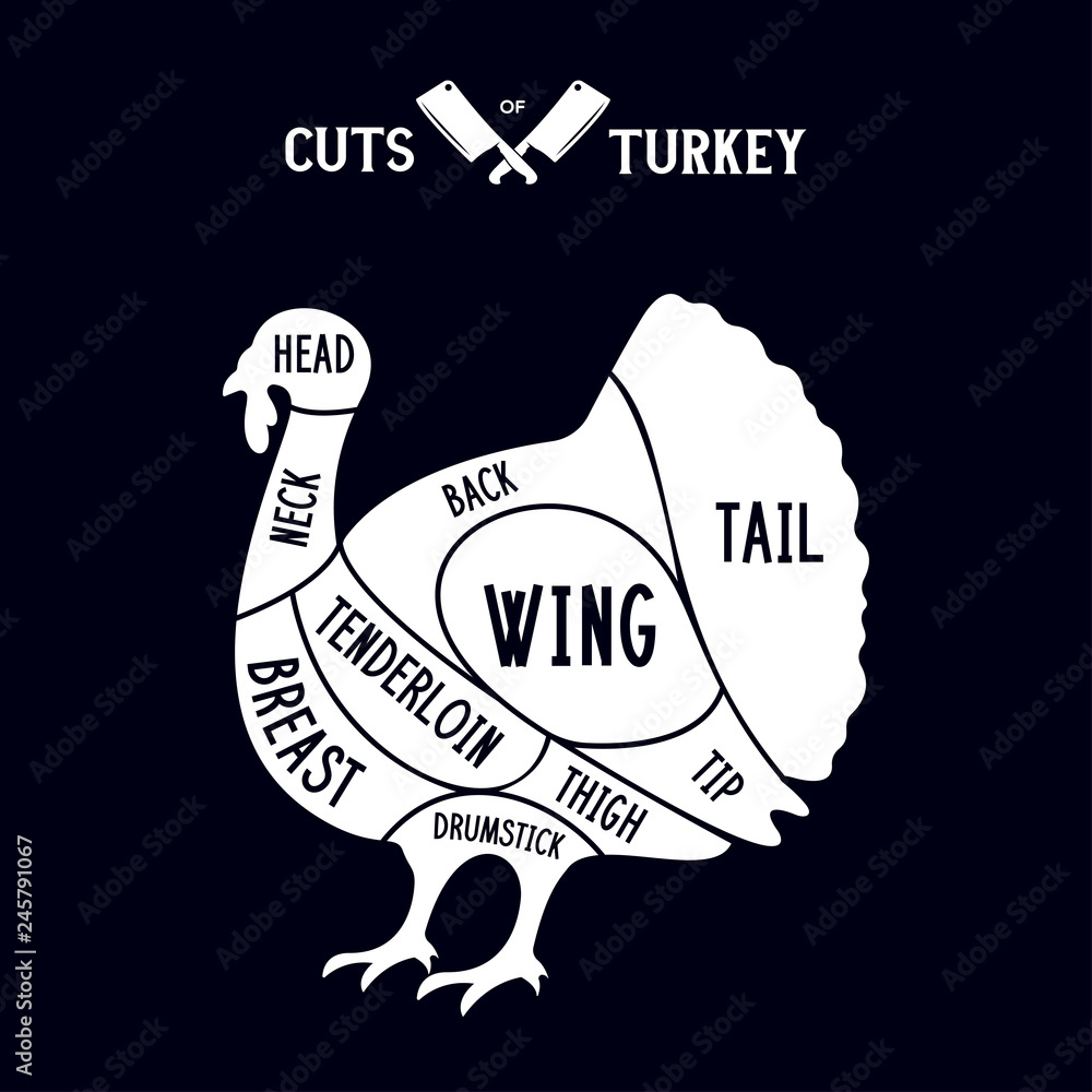Meat cuts - turkey. Diagrams for butcher shop. Scheme of turkey. Animal ...