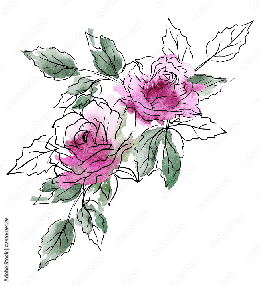 Watercolor Line Drawing Flowers | Best Flower Site