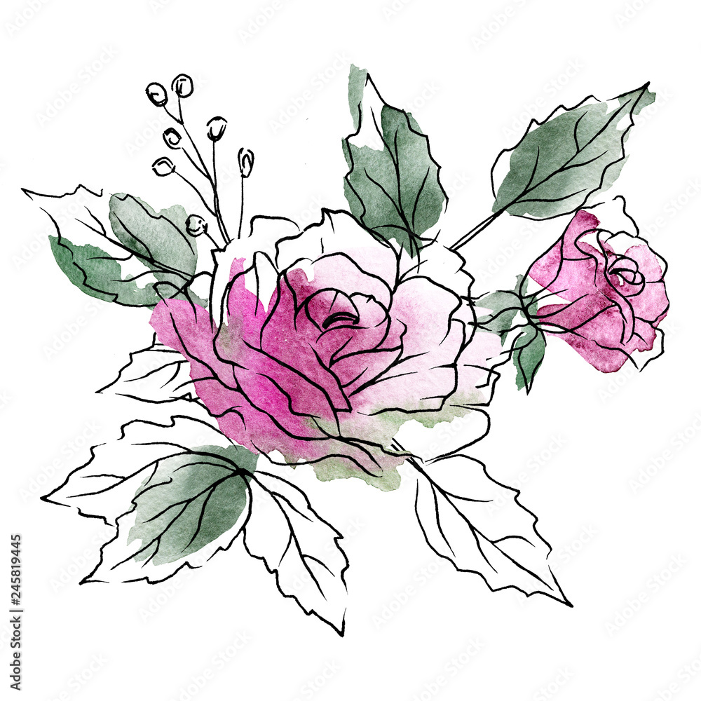 Watercolor Line Drawing Flowers | Best Flower Site