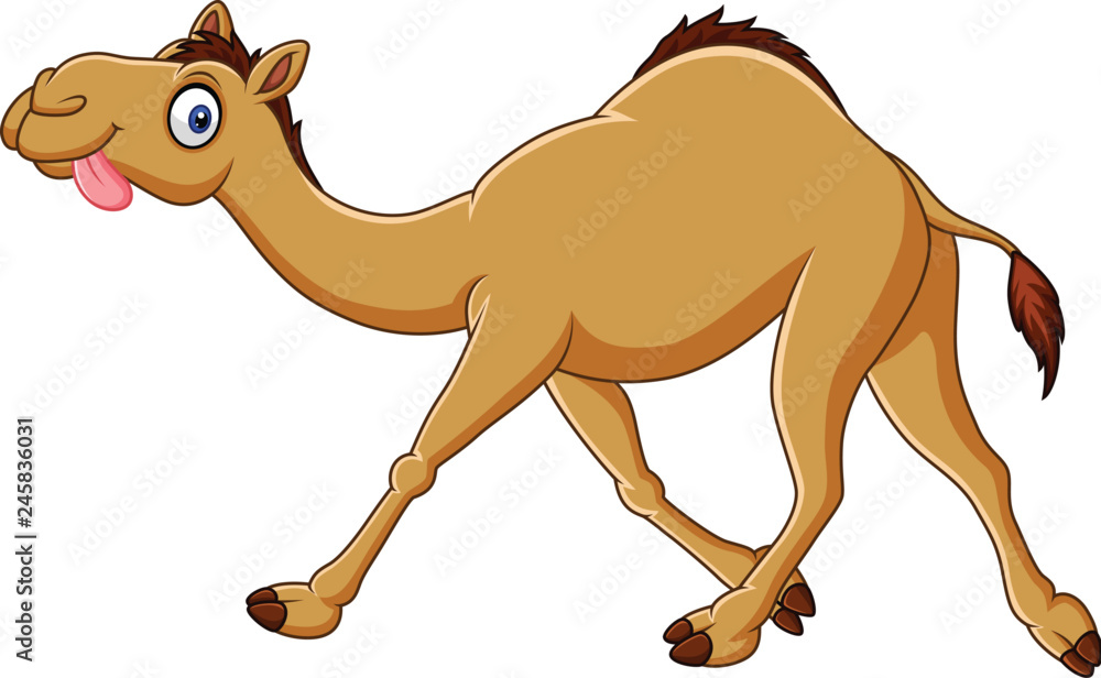 Cute Camel Cartoon Images