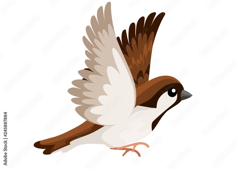 Side view of flying Sparrow bird. Flat cartoon character design ...