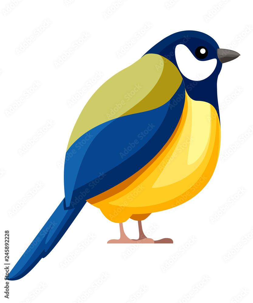 Titmouse bird sitting. Flat cartoon character design. Colorful bird ...