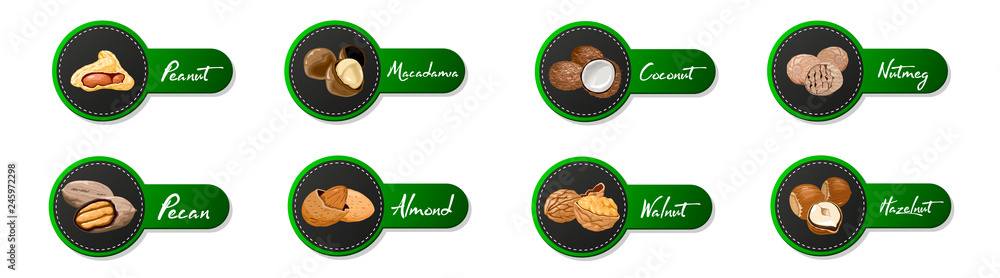 Set of named vector icons nuts and seeds. Nuts logo set. Vector labels ...