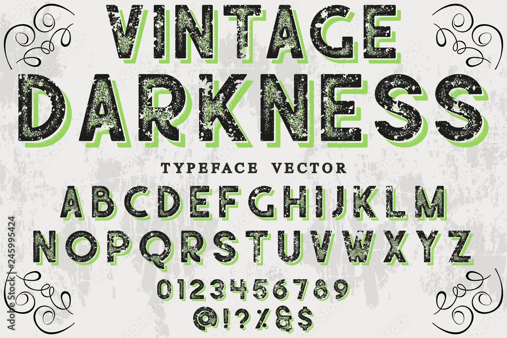 Font Script Typeface vintage script font Vector typeface for labels and ...