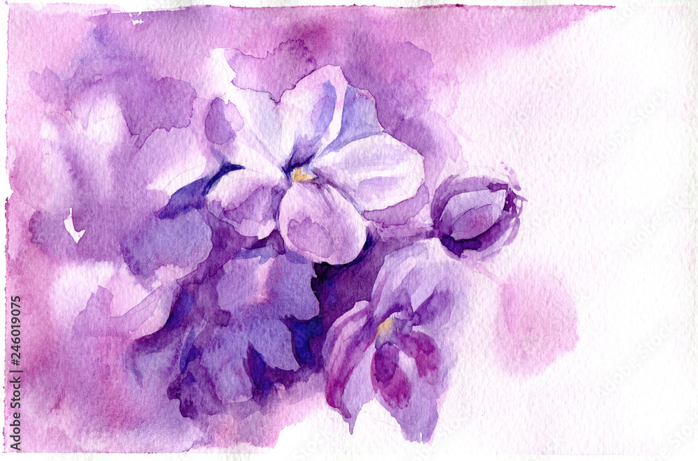 Purple Flower Background Drawing | Best Flower Site