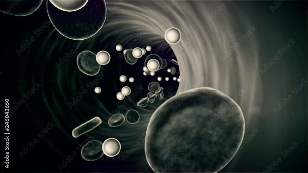 drugs in a blood, drugs inside the blood vessel, insulin and leukocytes ...