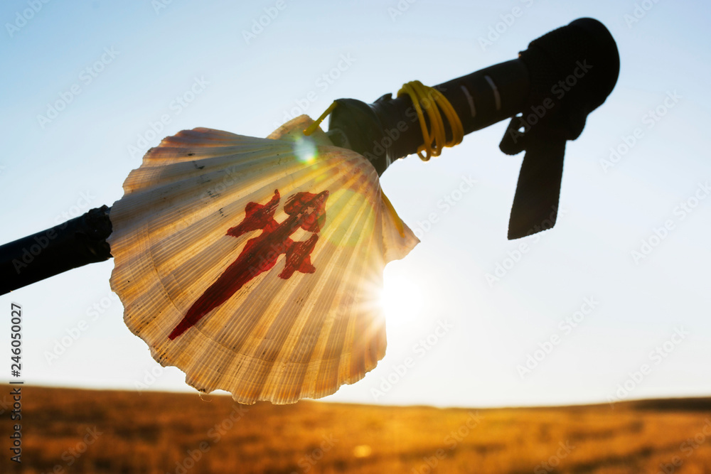 Camino de Santiago to Compostela with scallop shell with cross symbol ...