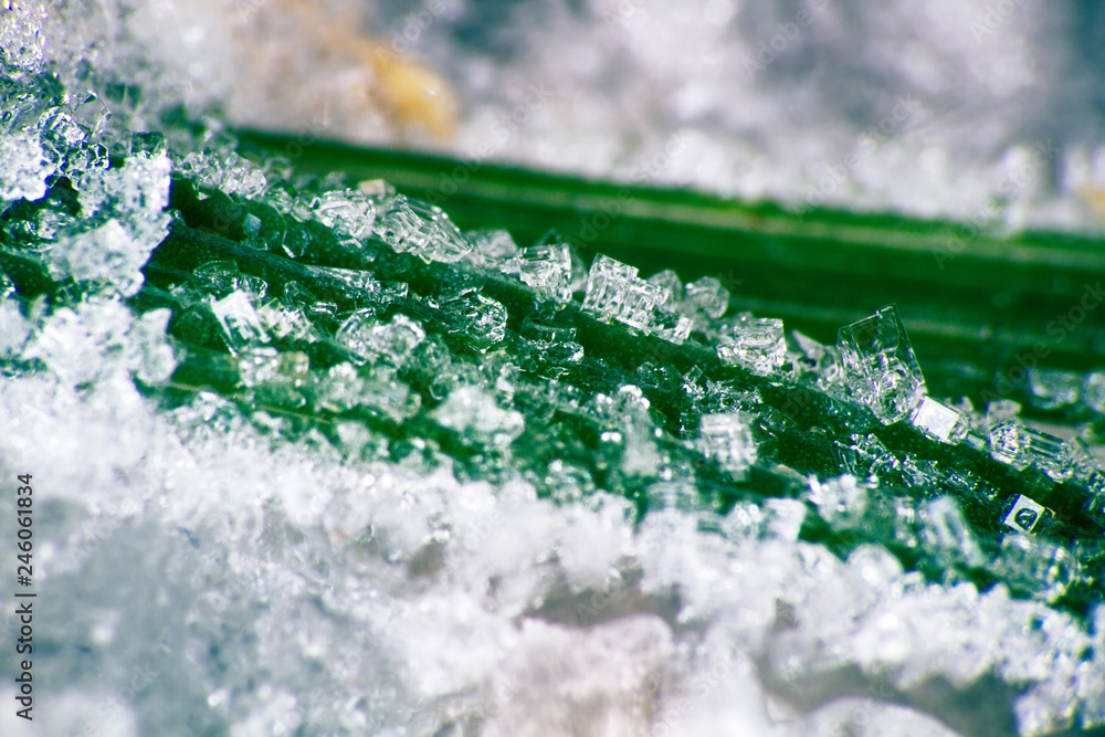 ice spicule on green leaves because of unexpected frost Stock Photo ...