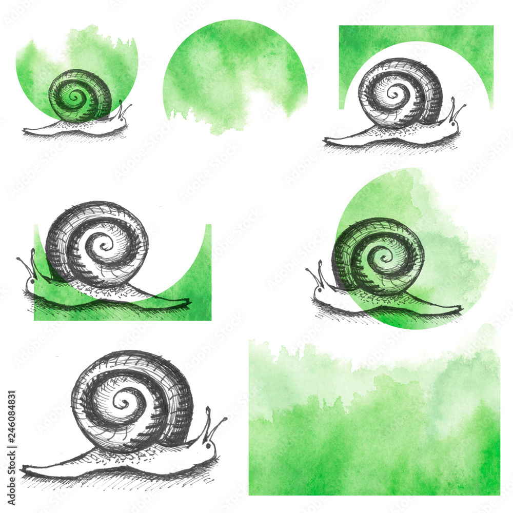 Snail Drawing Label