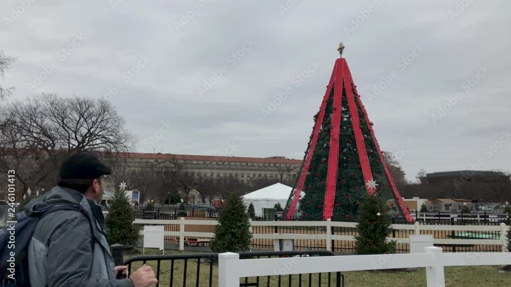 This Ultra High Definition footage shows the National Christmas Tree ...