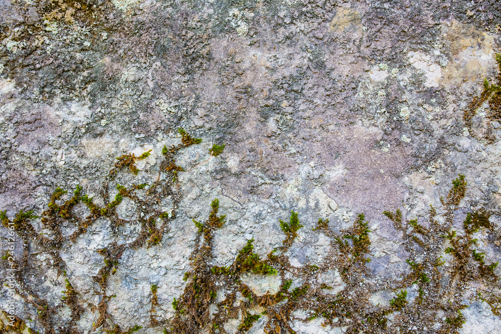 Closeup - beautiful structure of an ancient rock texture formation ...