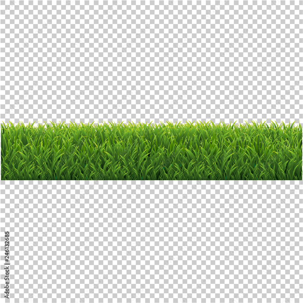 Green Grass Background Isolated Transparent Background Stock Vector ...