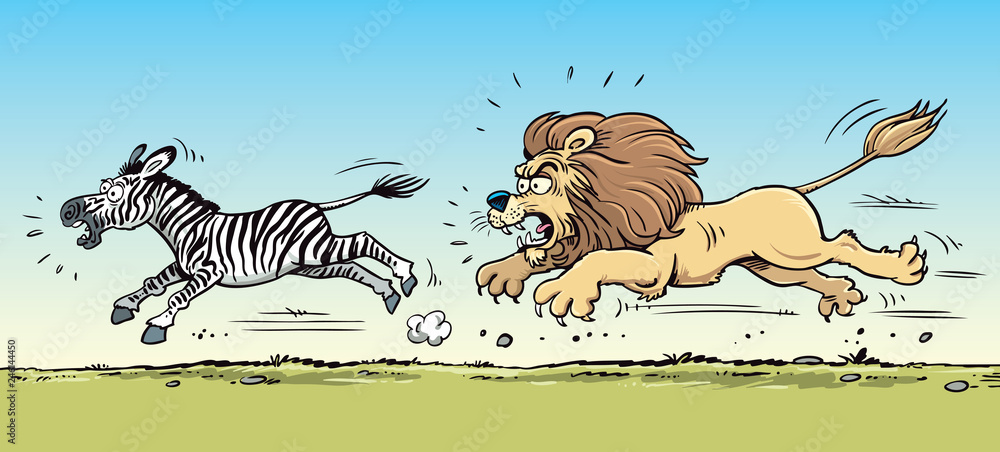 African Lion Hunting Zebra